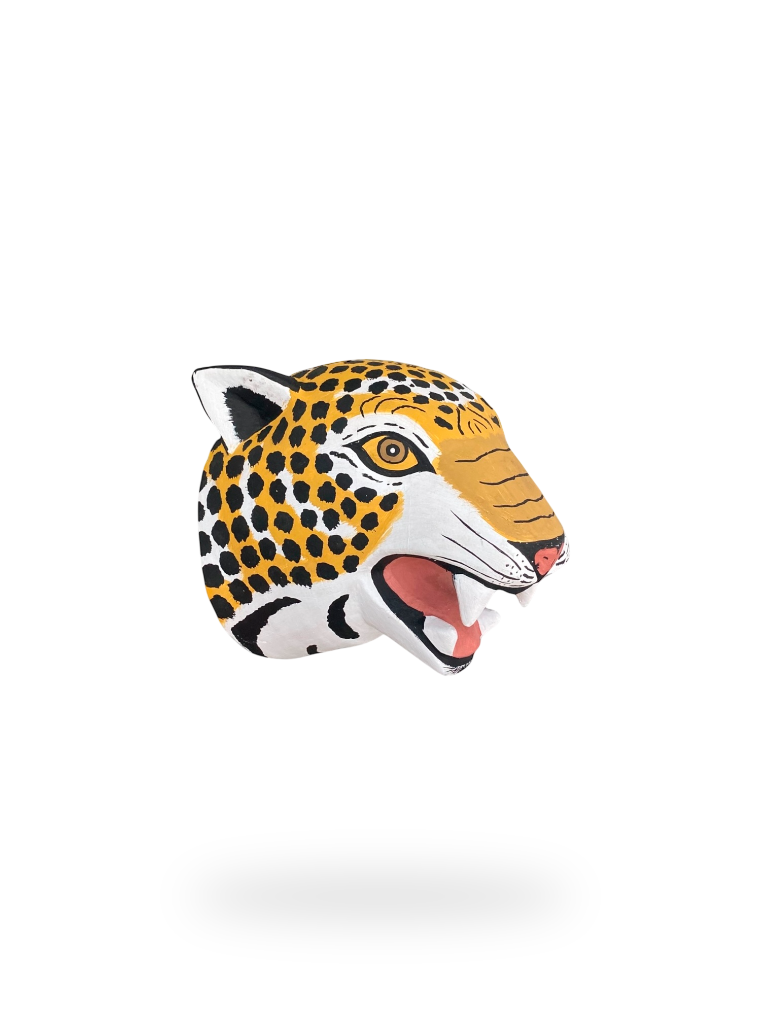 The Roaring Cheetah – Fields Outfitting